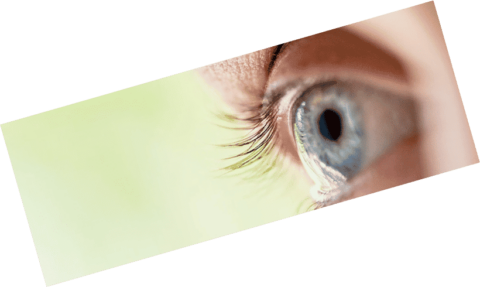 Home - Eyeland Opticians