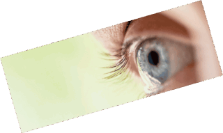 Request an Appointment - Eyeland Opticians